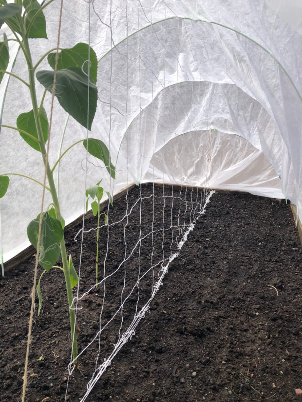 $1/mo - Finance HOMEANING 5 x 15ft,1 Pack White Garden Trellis Netting ...