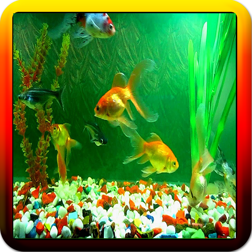 Fish Aquarium - App on Amazon Appstore