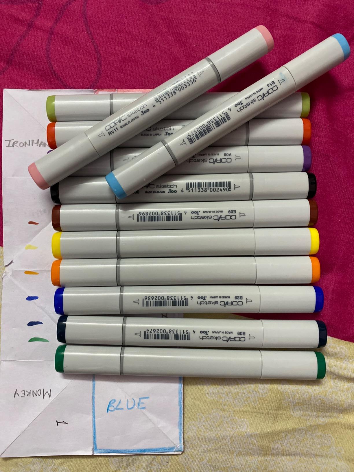 Copic Marker 12-Piece Sketch Basic Set : Amazon.in: Home & Kitchen