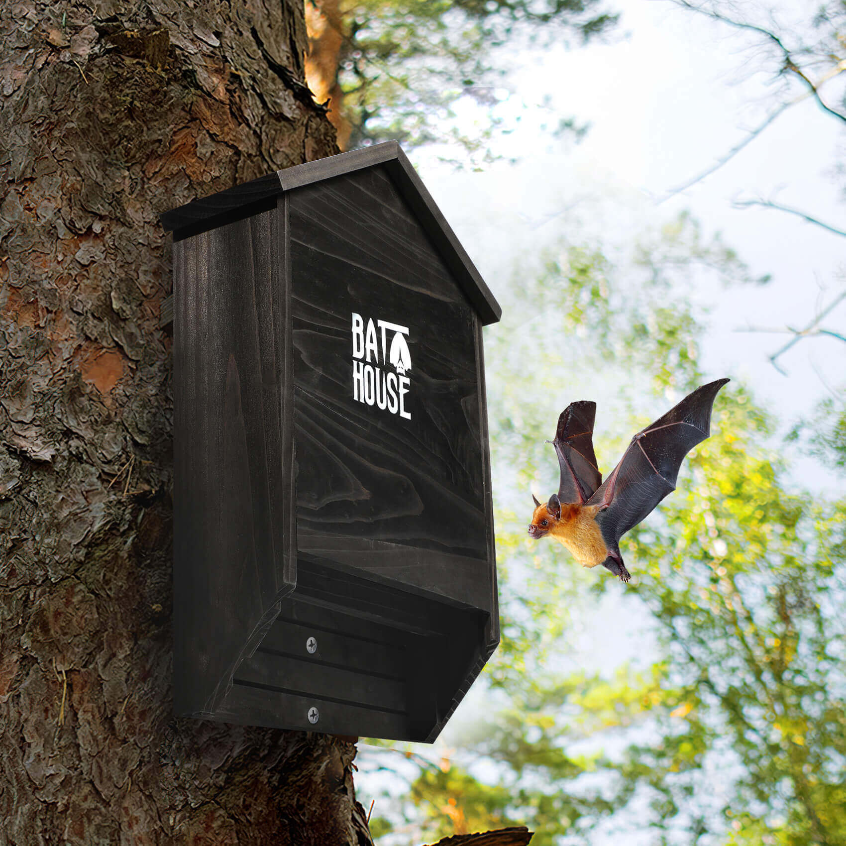 Large Bat House Bat Box Designs | BC BATS