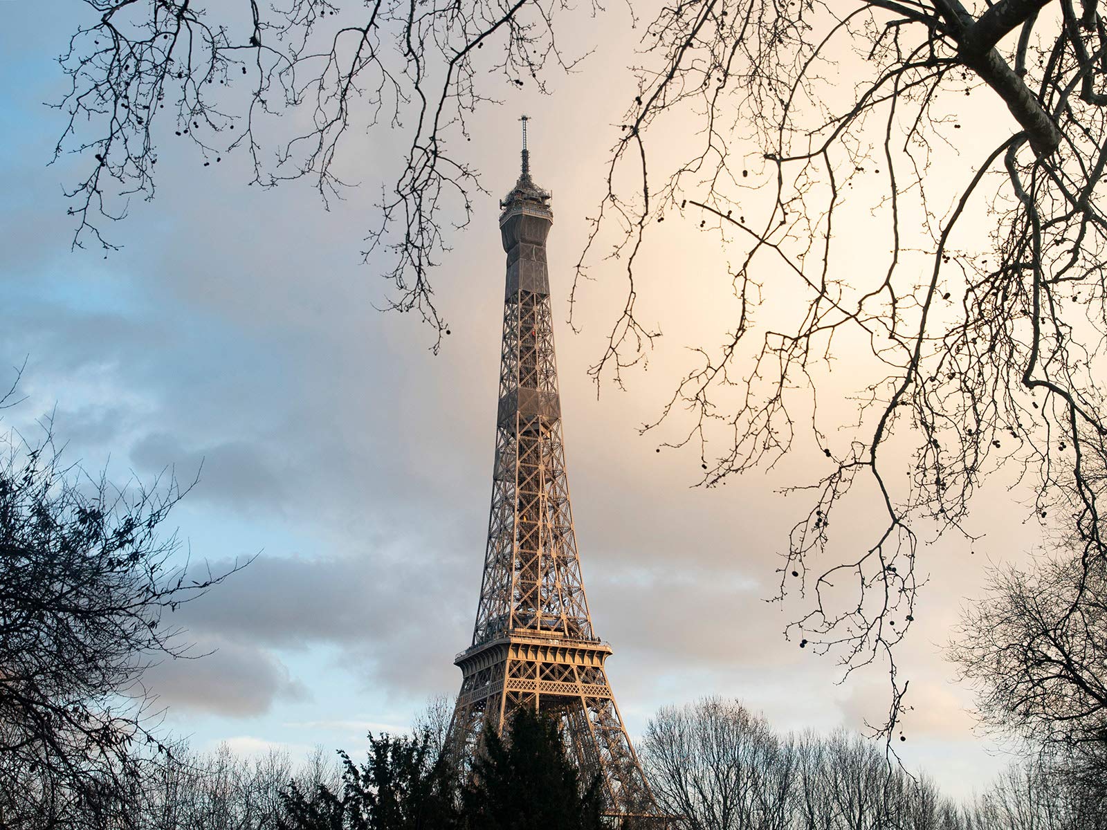 Watch The Pack – Season 1 | Prime Video