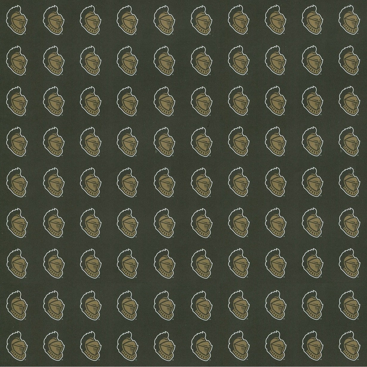 Amazon.com : University of Central Florida (Golden Knights) 5 Sheets of ...