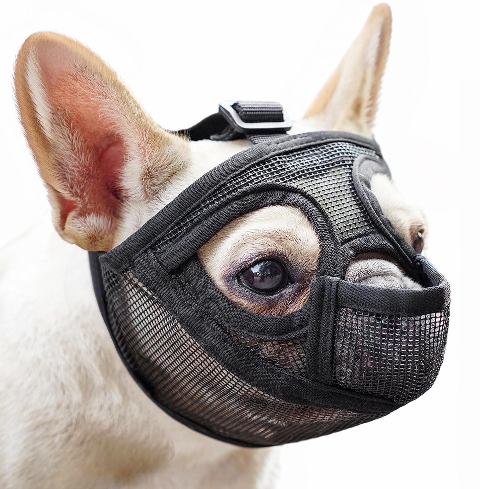Snapklik.com : Mayerzon Short Snout Dog Muzzle For French Bulldog