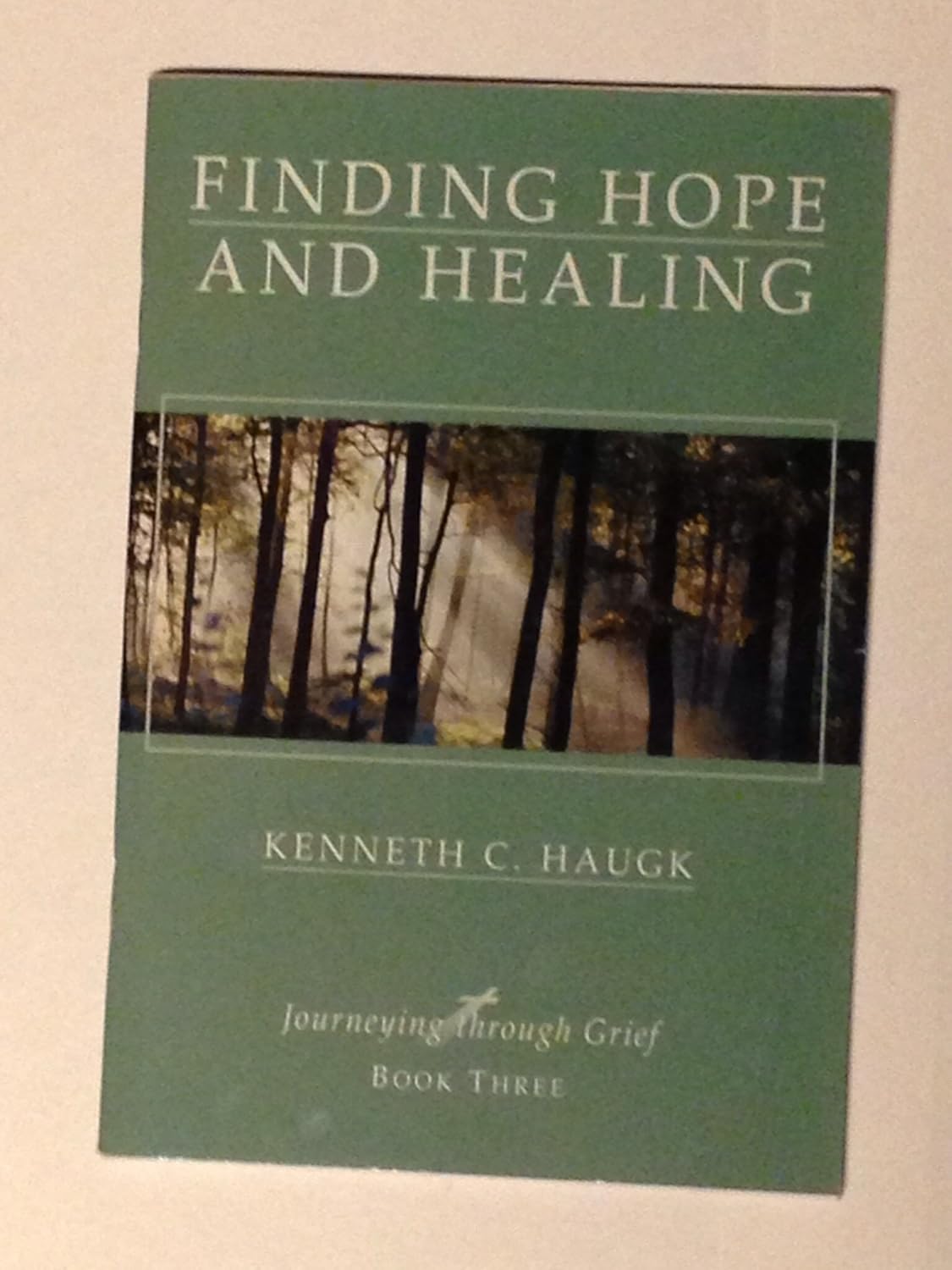 Finding Hope and Healing (Journeying Through Grief, Book Three): Haugk ...
