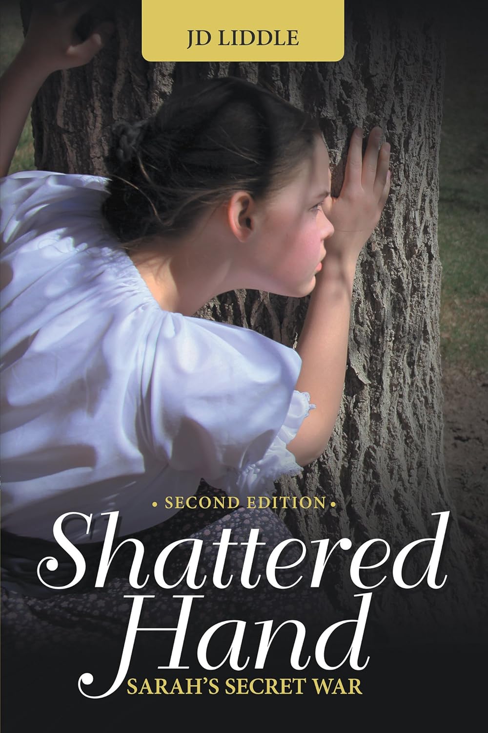 Shattered Hand: Sarah's Secret War - Kindle edition by Liddle, JD ...