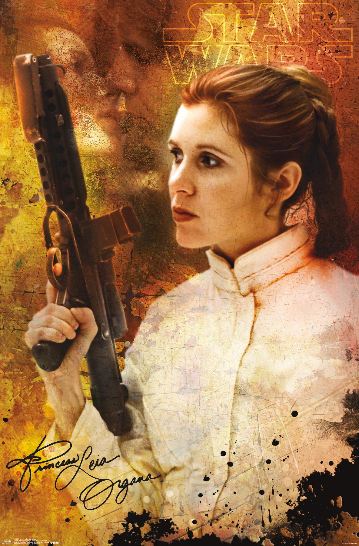 Amazon.com: Trends International Star Wars: Saga - Princess Leia ...