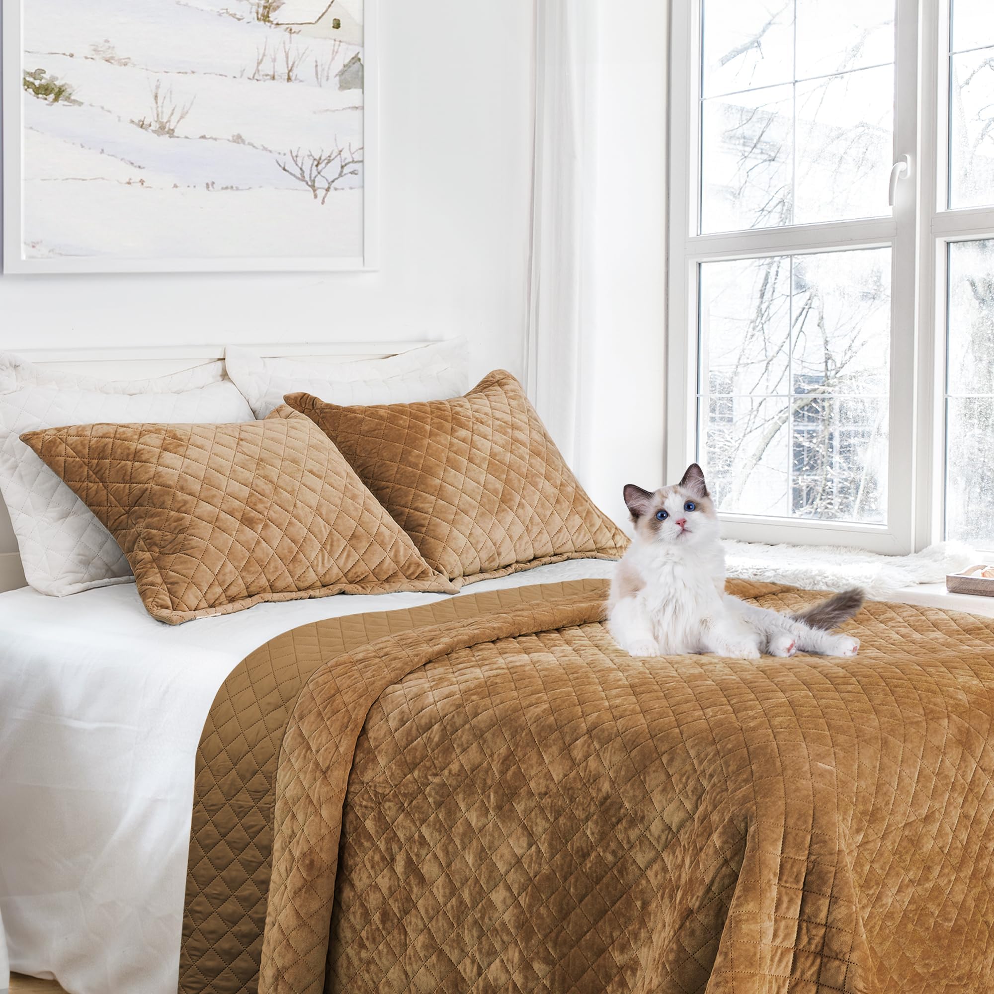 Amazon.com: dennylife Luxury Velvet King Quilt Set, Ultra Soft ...