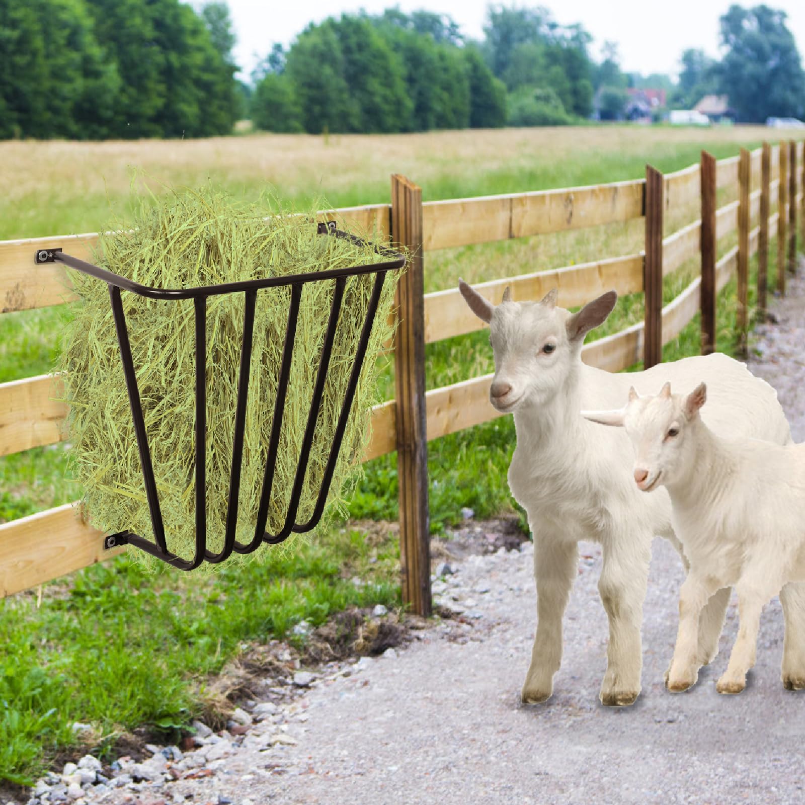 Nisorpa Hay Rack, Hay Feeder Rack for Horses Goats Sheep Wall Mounted ...