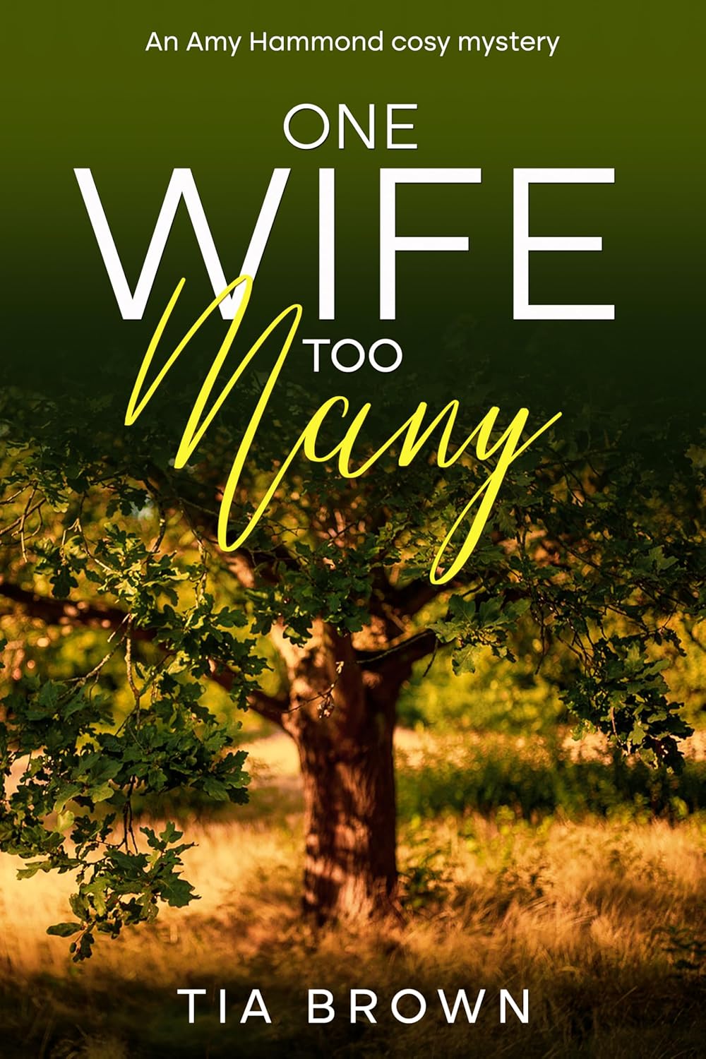 Amazon.com: One Wife Too Many: An Amy Hammond Cosy Mystery (Amy Hammond Cosy Mysteries Book 25 ...