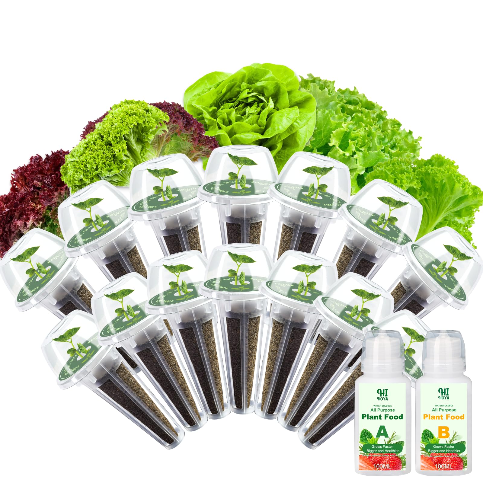 Amazon.com : 14 PODs Lettuce Seed Pod Kit for AeroGarden, Included Red ...