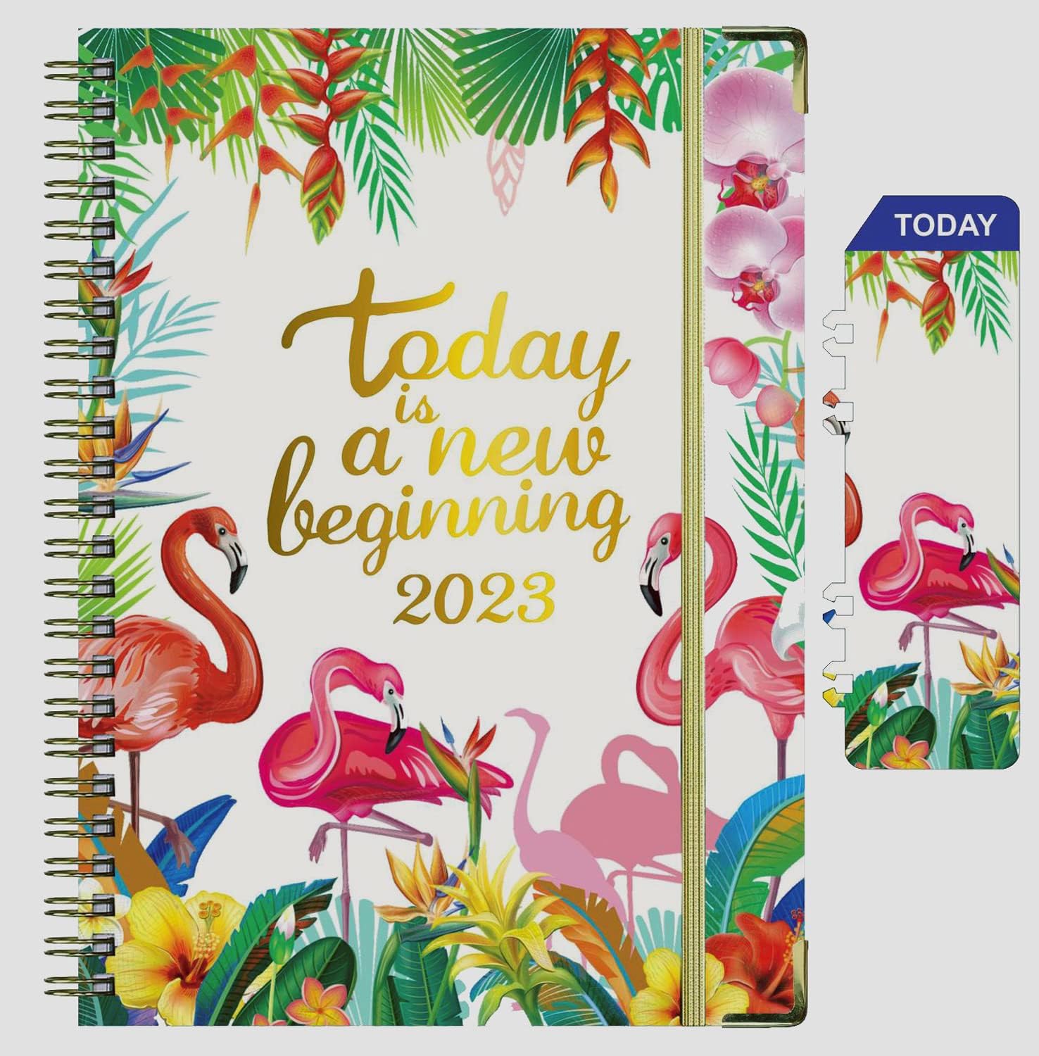 Amazon.com : 2023 Planner/Calendar - Monthly Planner 2023, Jan. - Dec ...