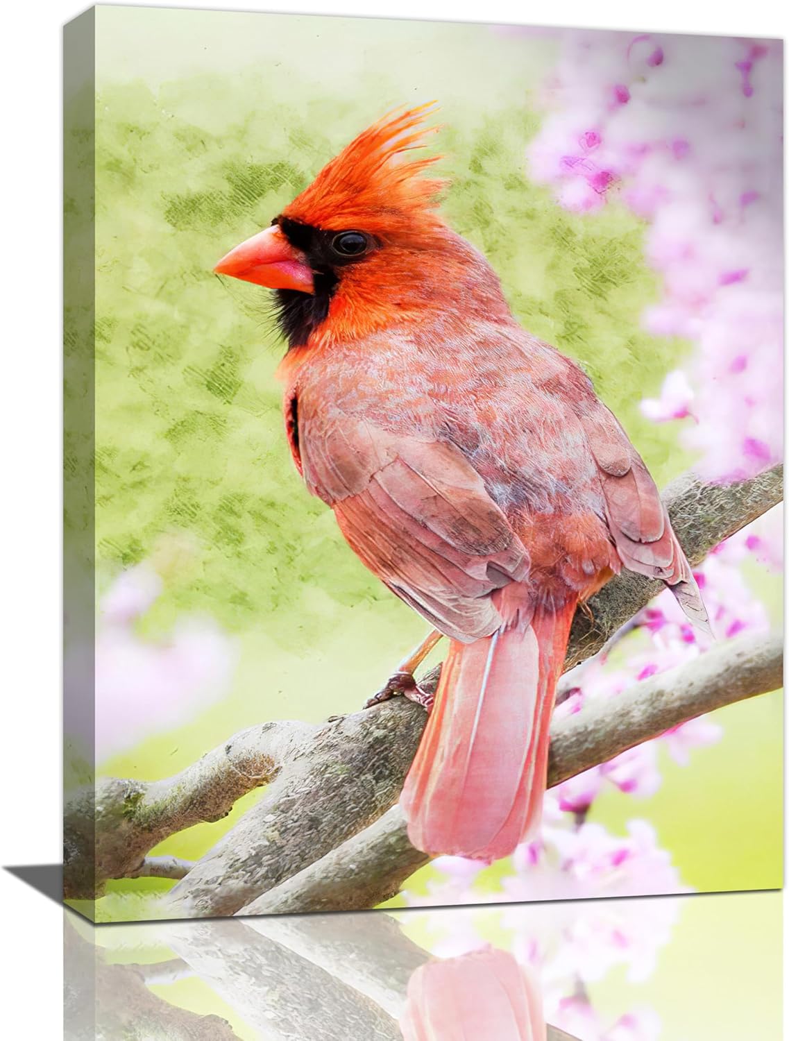 Amazon.com: Cardinal Wall Art Red Bird Cardinals Pictures Wall Decor ...