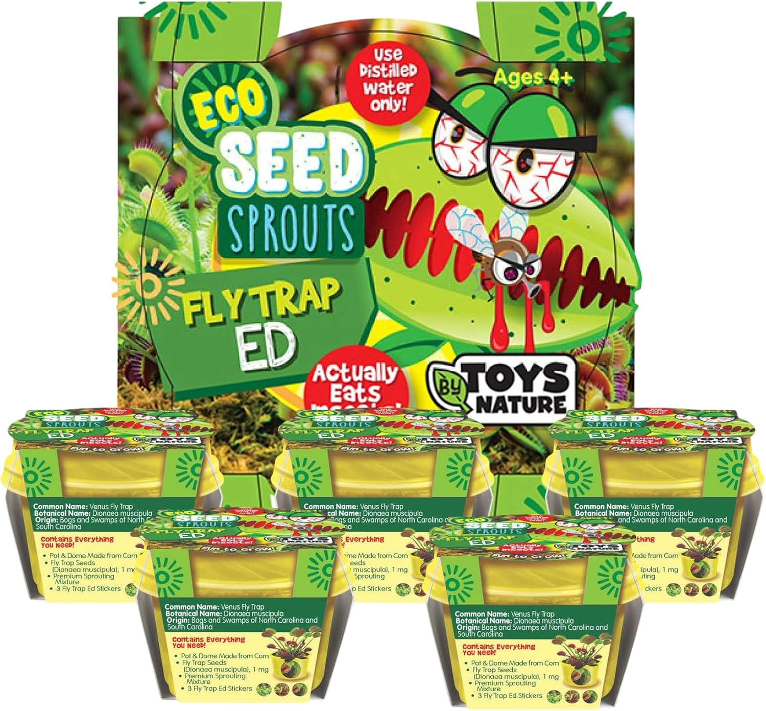 Amazon.com : TOYS BY NATURE Eco Seed Sprouts Plant Seeds 5-Pack, DIY ...