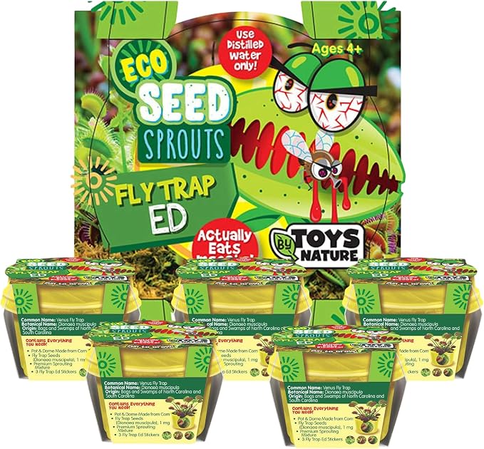Amazon.com : TOYS BY NATURE Eco Seed Sprouts Plant Seeds 5-Pack, DIY ...