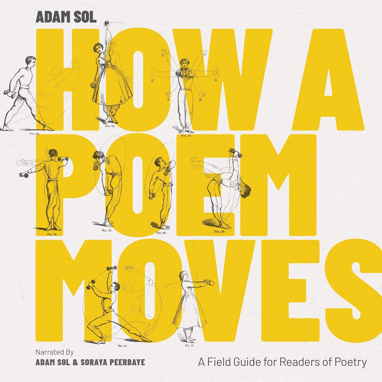 Amazon.com: How a Poem Moves: A Field Guide for Readers of Poetry ...