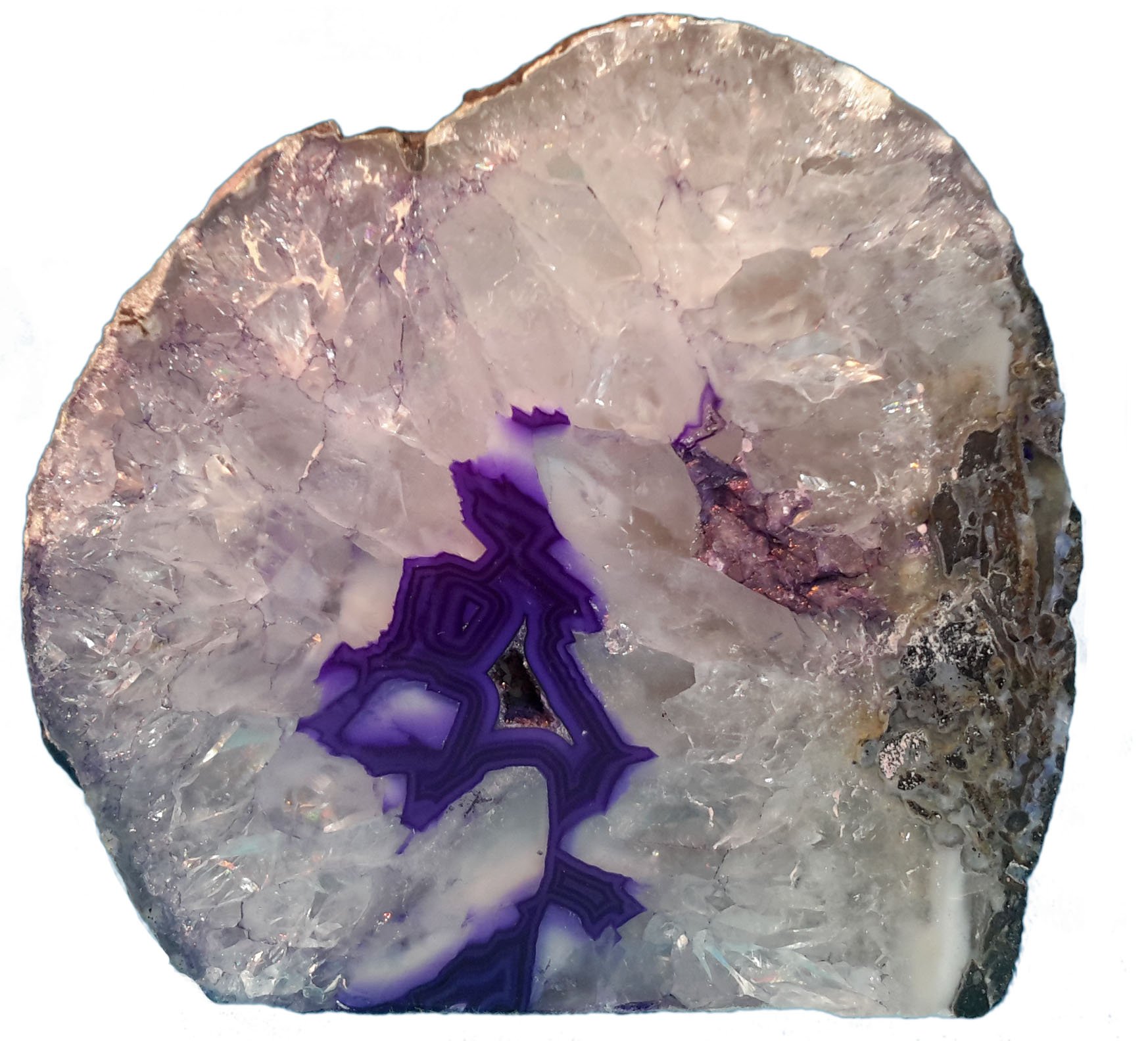 Purple Things In Nature