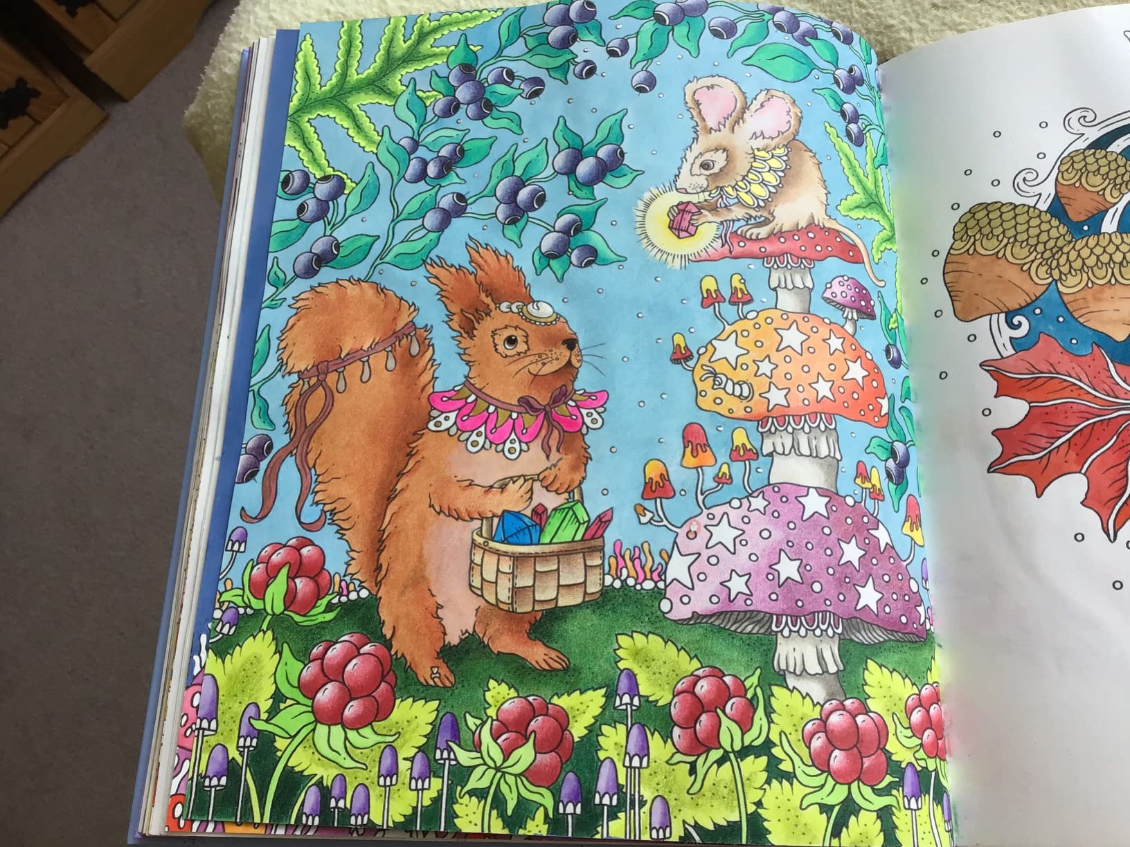 Seasons Coloring Book: Published in Sweden as Tidevarv (Hanna Karlzon ...