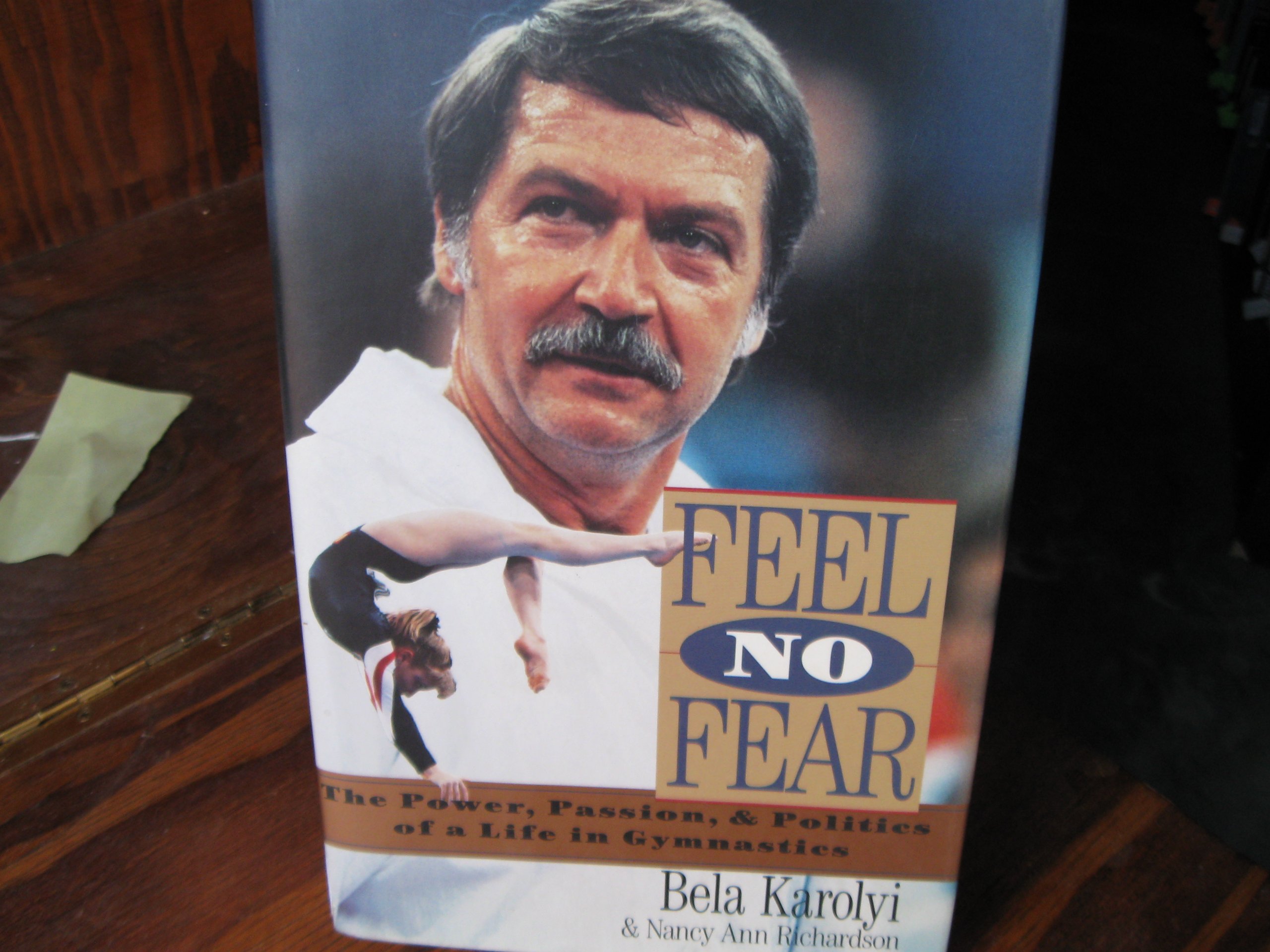 Feel No Fear: The Power, Passion, and Politics of a Life in Gymnastics ...