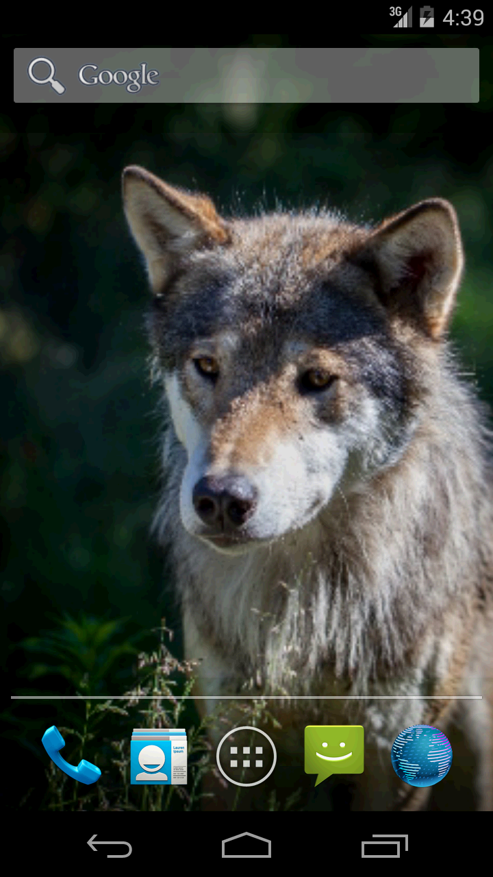 Wolf Wallpaper App - App on Amazon Appstore
