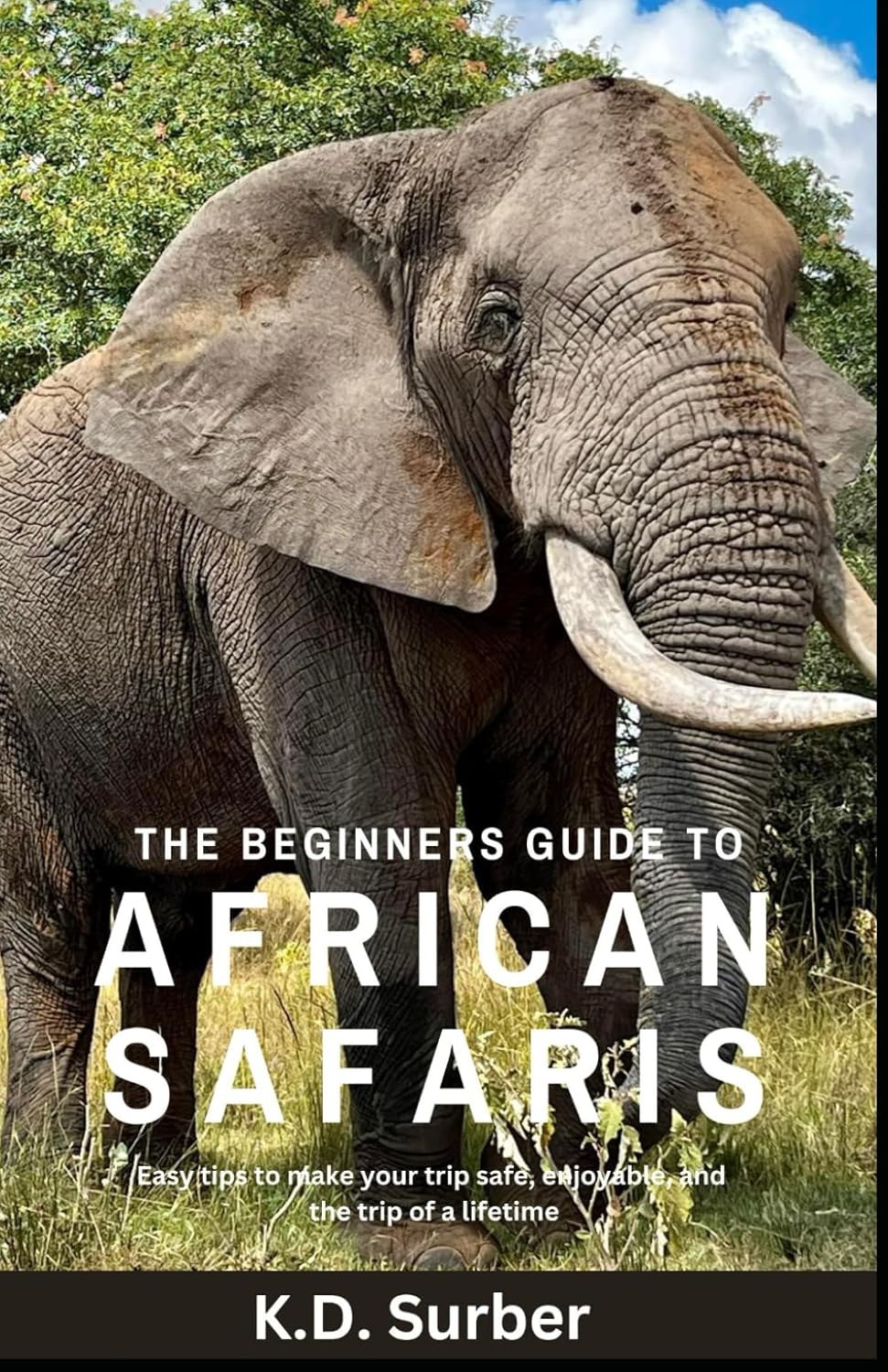 The Beginners Guide to African Safaris: Easy to use tips to help ...