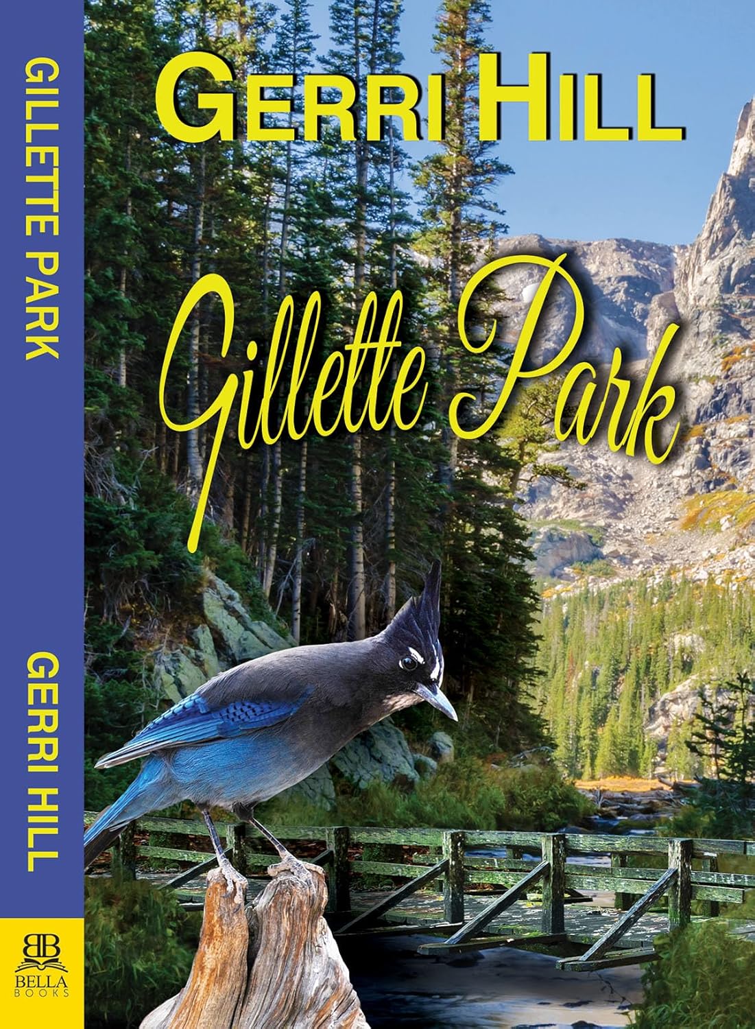 Amazon.com: Gillette Park: 9781642471335: Hill, Gerri: Books