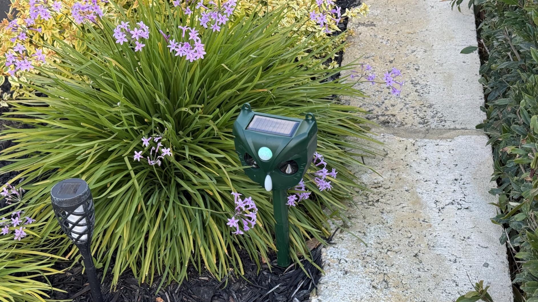 DJAPWPX Ultrasonic Cat Deterrents 5 Sensitivity Modes Solar Cat ...