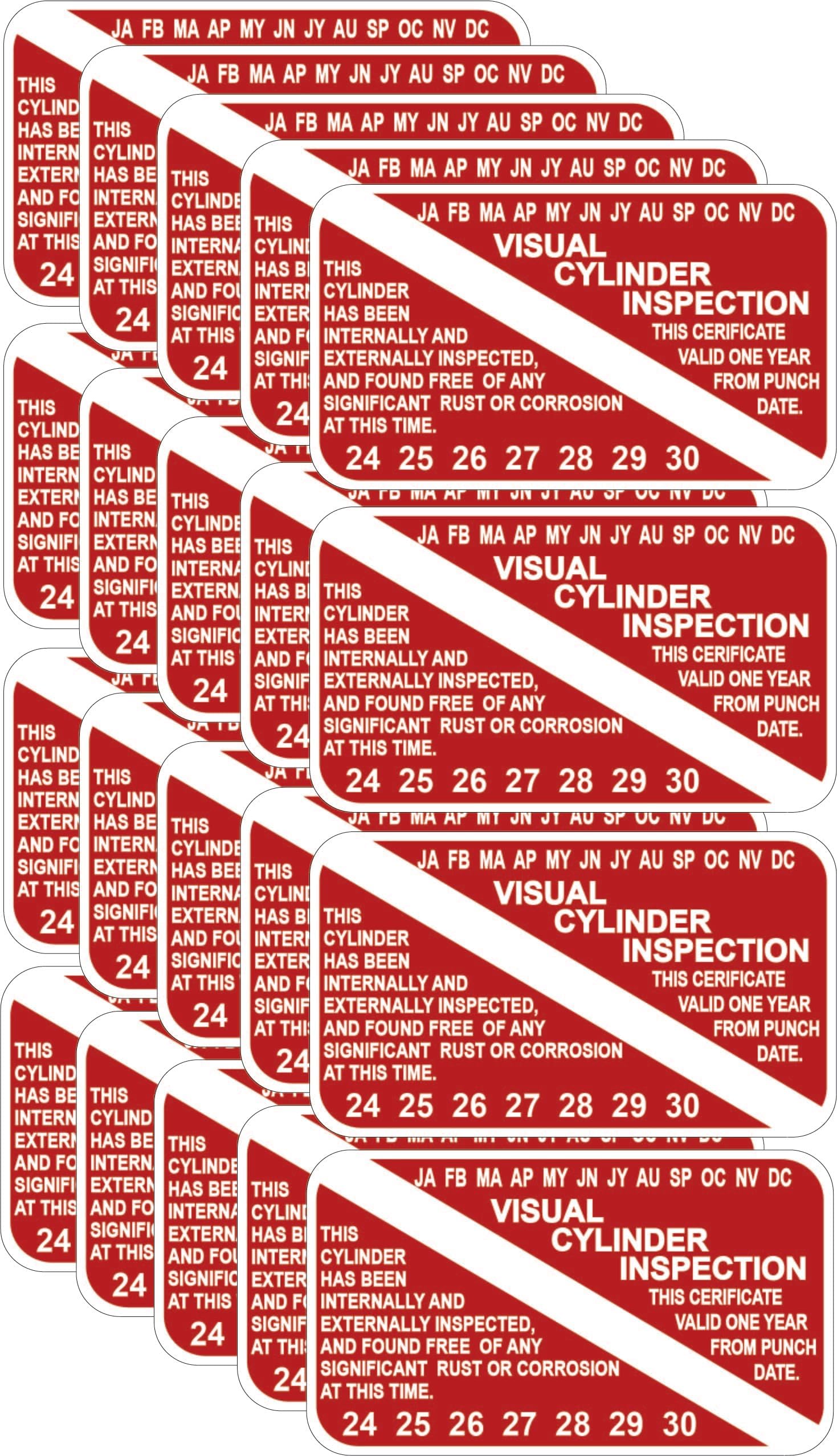Amazon.com: (20 Pack) Visual Inspection Sticker Scuba Tank Diver Years ...