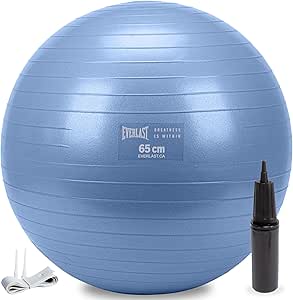 Everlast Anti-Burst Weighted Stability Ball 65CM : Amazon.ca: Sports ...