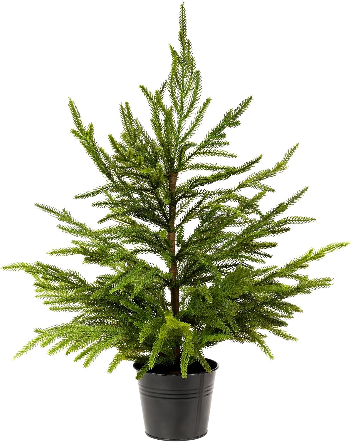 Amazon.com: Artificial Norfolk Pine Tree - 36" Faux Christmas Tree ...