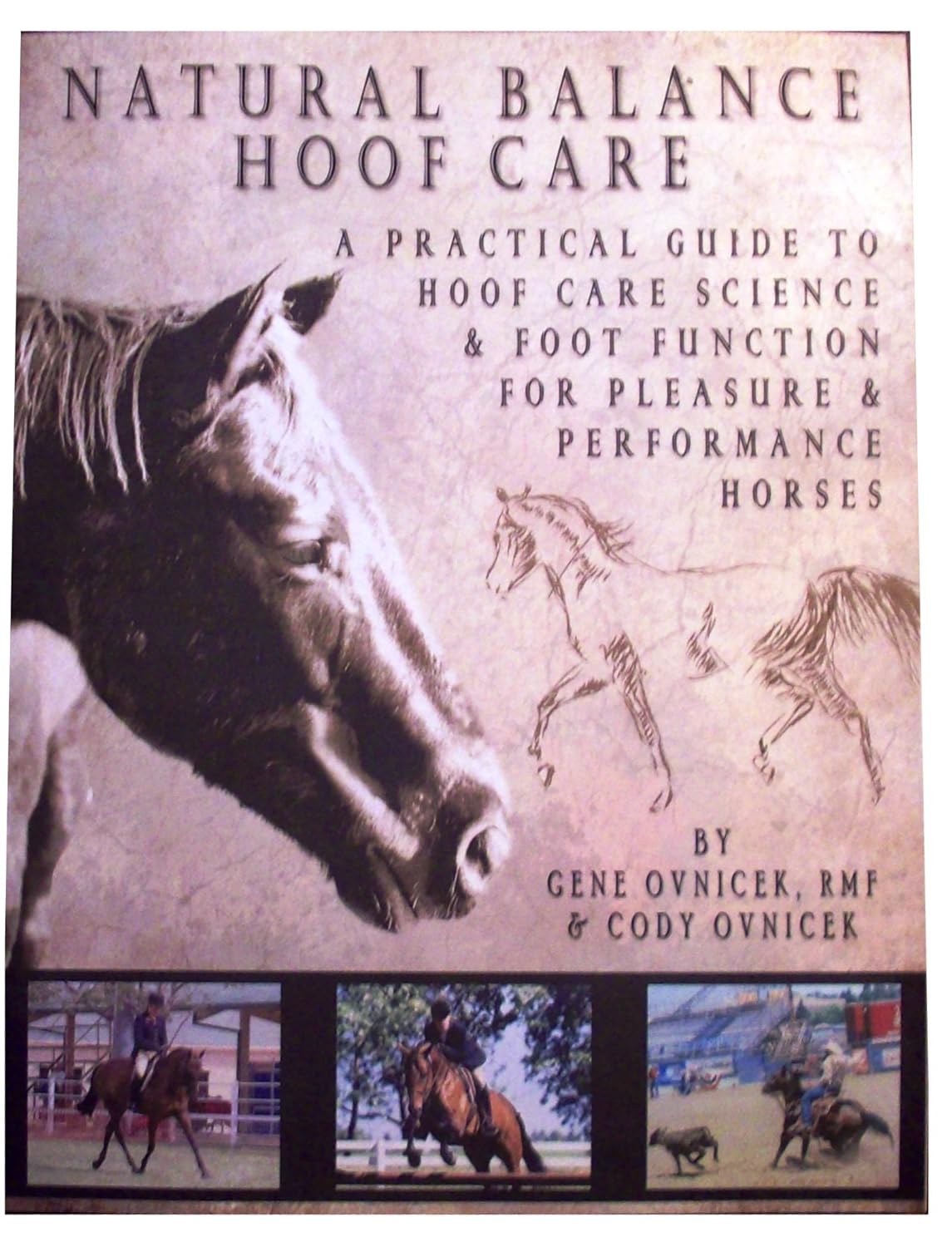 Natural Balance Hoof Care (A Practical Guide To Hoof Care Science ...