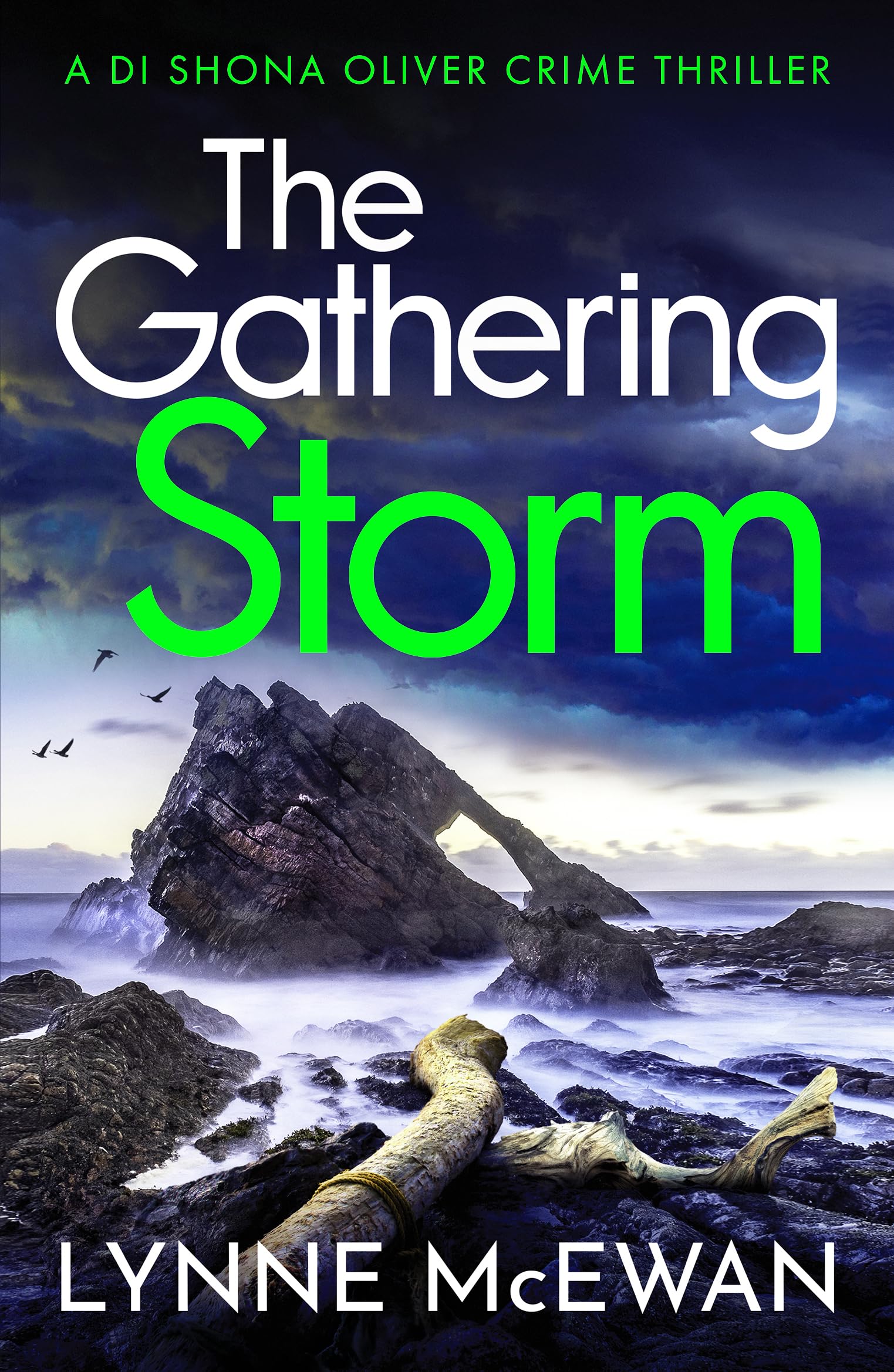 The Gathering Storm: An atmospheric, gripping Scottish police ...