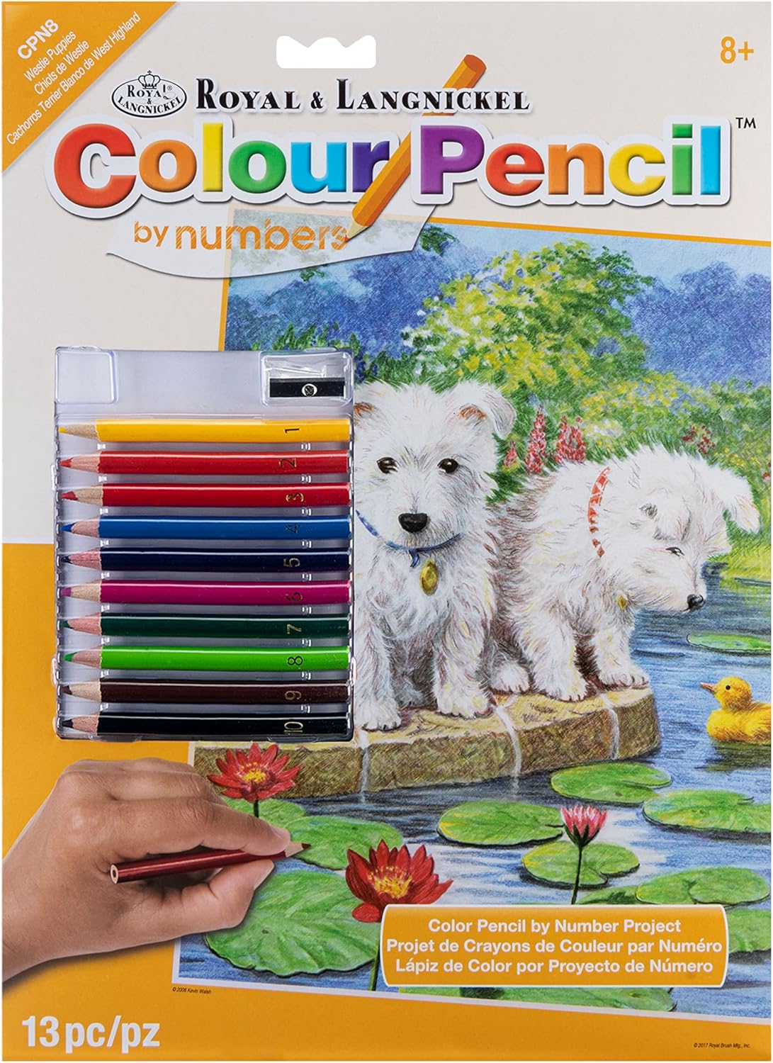 Amazon.com: Royal Brush Color Pencil by Number Kit 8.75"X11.75 ...