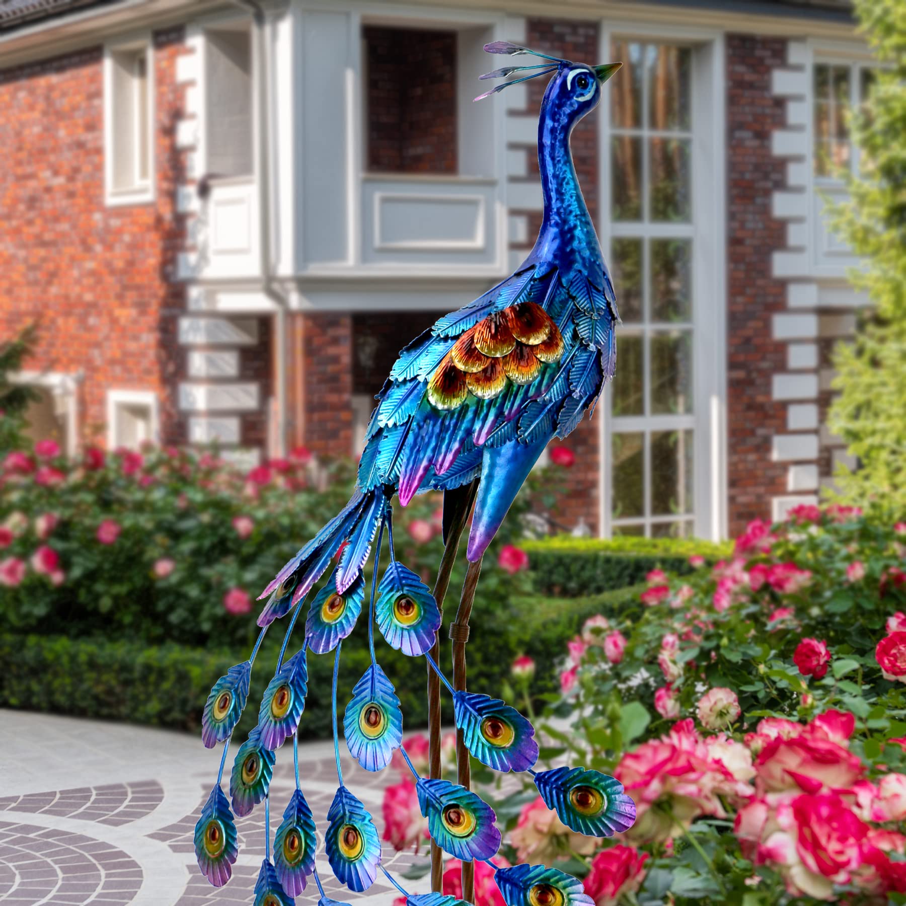 Peacock Home Decor