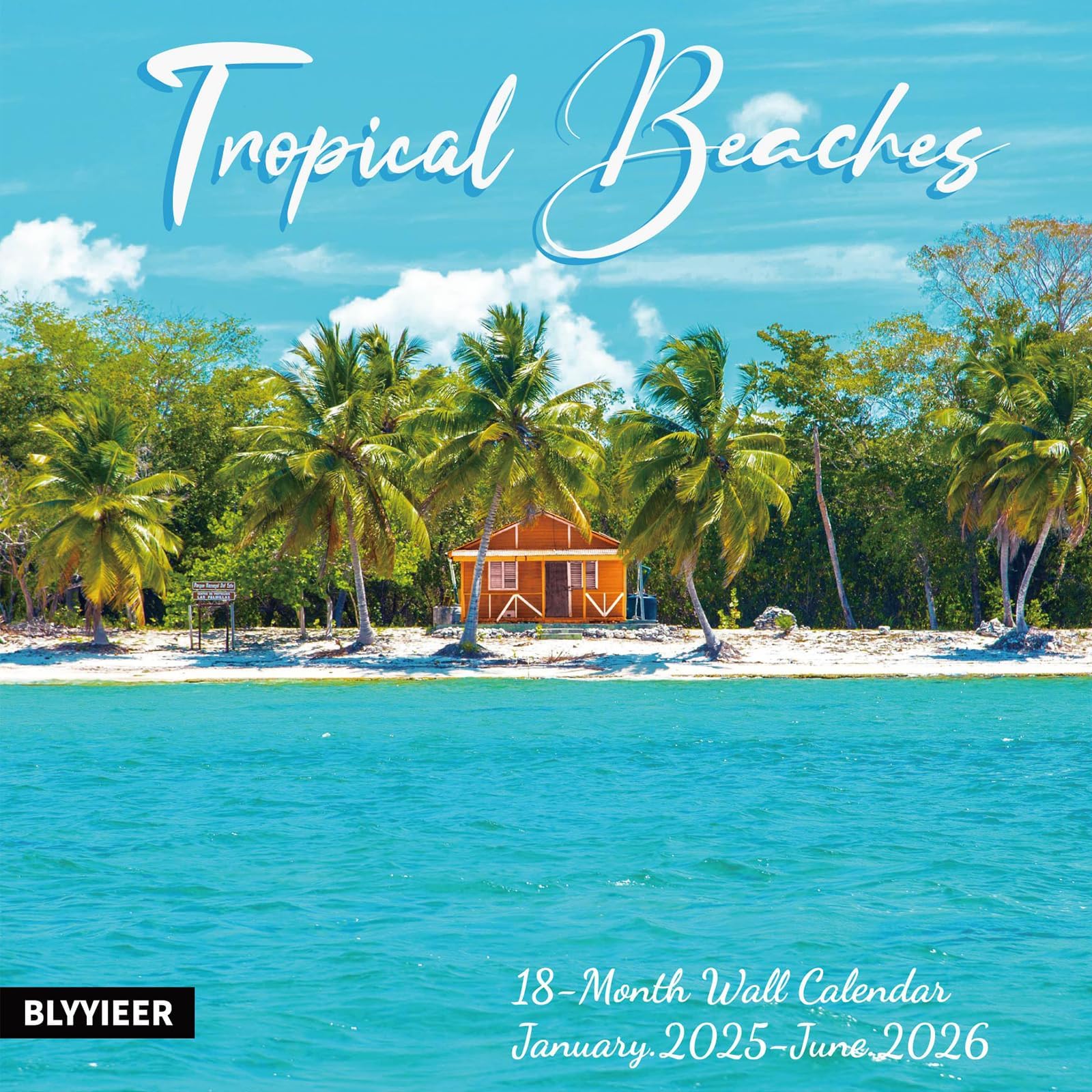 Amazon.com: 2025 Wall Calendar Tropical Beaches, 18 Months Hangable ...