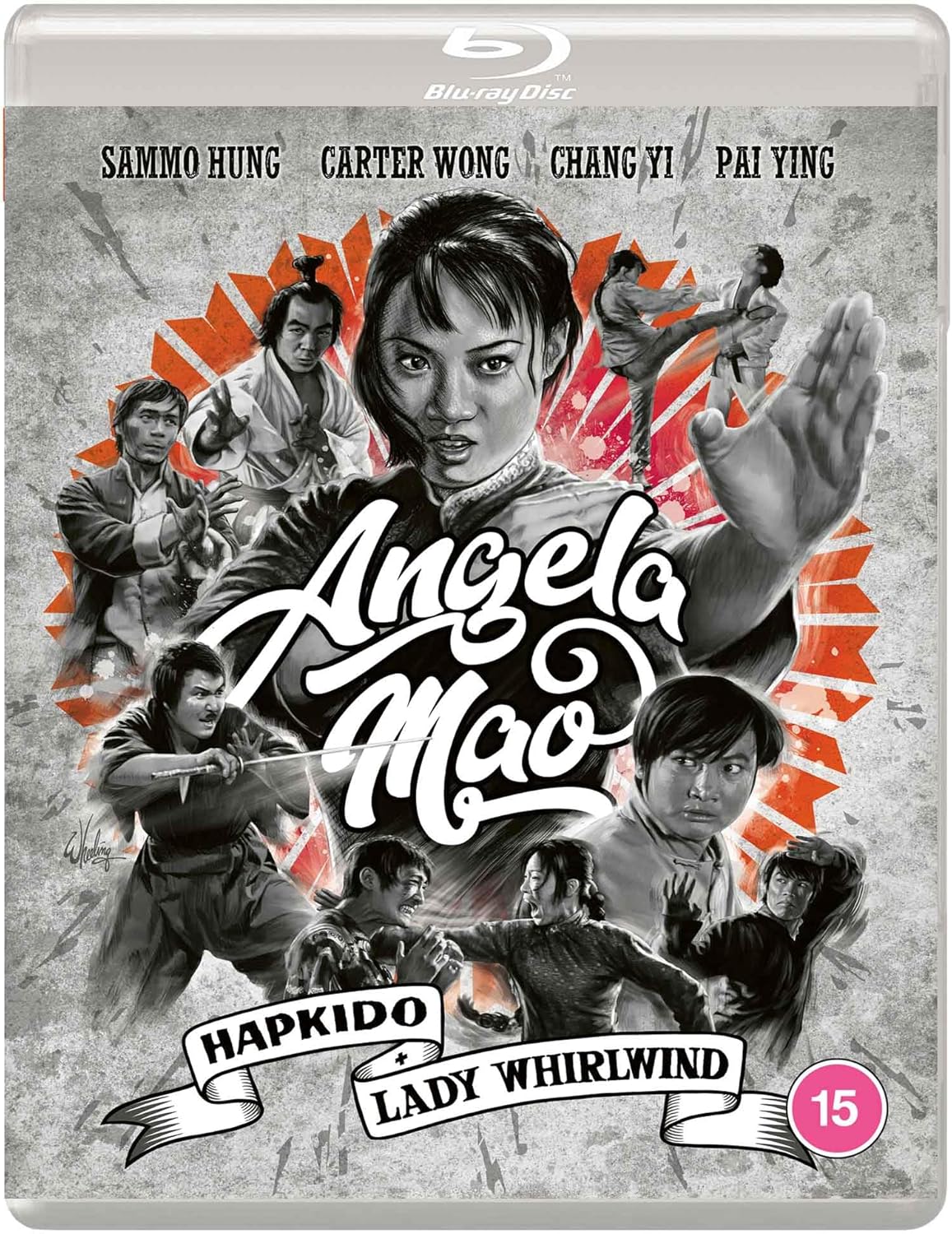Angela Mao: Hapkido & Lady Whirlwind [Blu-ray]: Amazon.ca: Angela Mao, Sammo HUNG, Carter WONG ...