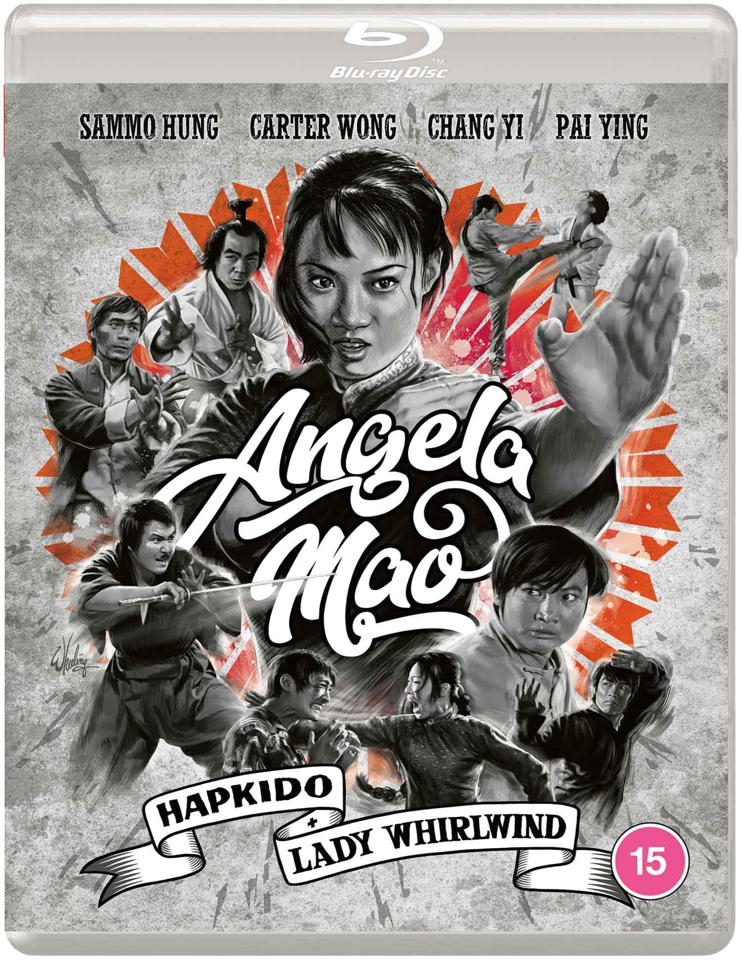 Angela Mao: Hapkido & Lady Whirlwind [Blu-ray]: Amazon.ca: Movies & TV ...