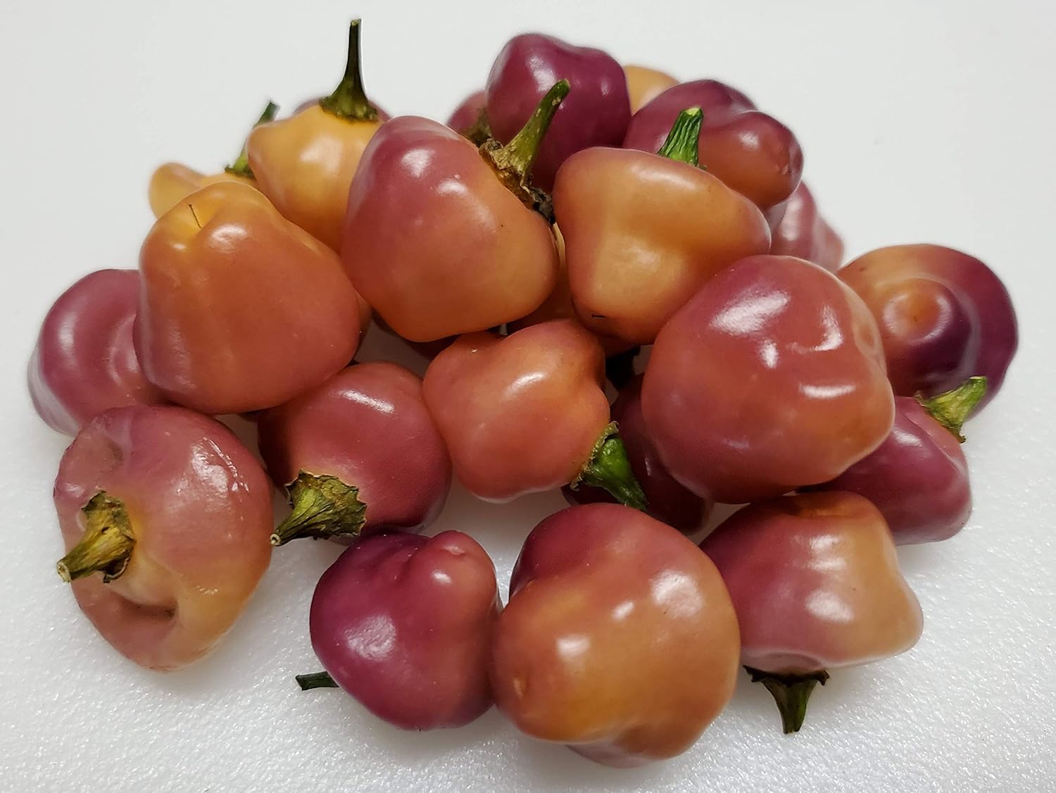 Amazon.com : Cheiro Roxa Pepper 10+ Seeds : Chile Pepper Plants : Patio ...