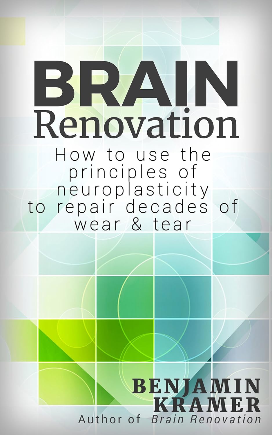 Brain Renovation - How to use the principles of neuroplasticity to ...