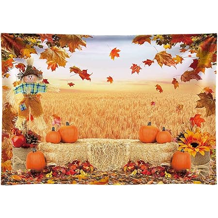Amazon.com : Funnytree 7X5FT Soft Fabric Fall Backdrop Autumn Pumpkin ...