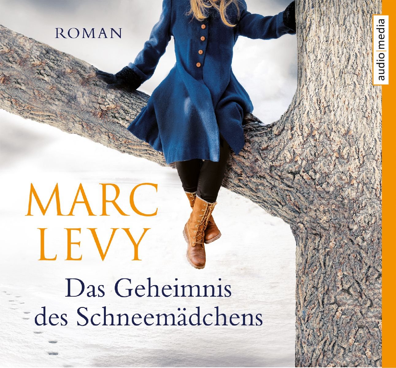 Das Geheimnis des Schneemädchens : Levy, Marc, Schäfer, Herbert, Runge ...