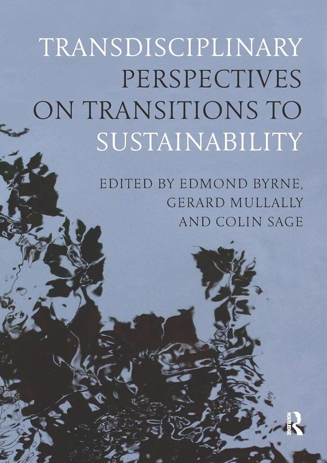 Transdisciplinary Perspectives on Transitions to Sustainability ...