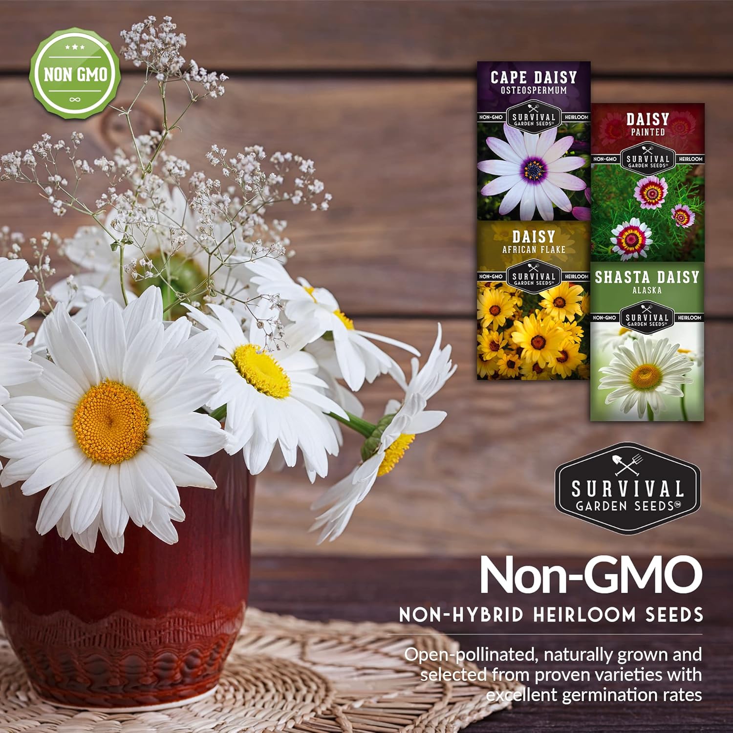 Daisy Seed Collection for Planting – 4 Packets – African Flake, Cape ...