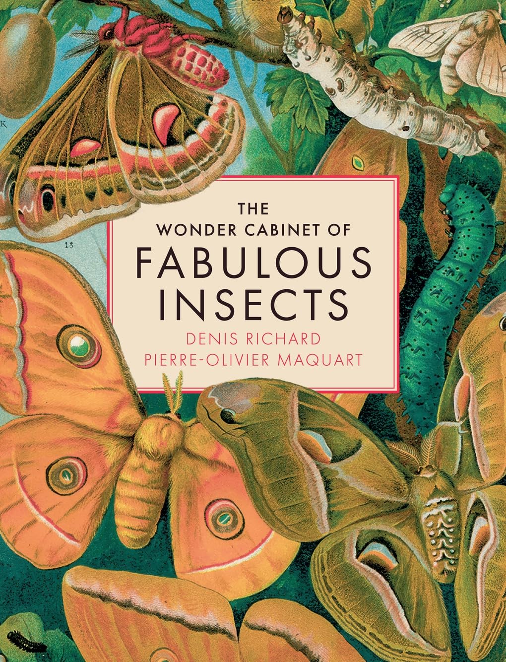 The Wonder Cabinet of Fabulous Insects: Secrets of the World's Rarest ...