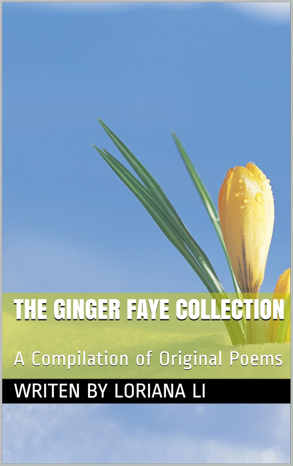 Amazon.com: The Ginger Faye Collection: A Compilation of Original Poems ...