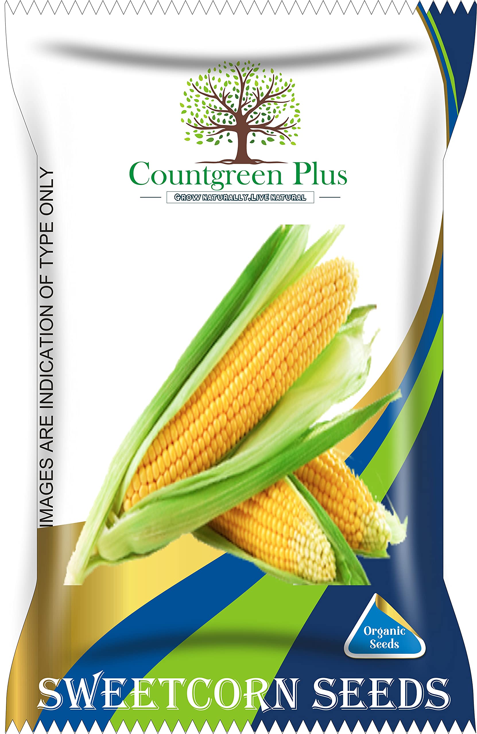 Corn Seeds Packet Corn: Sweet Corn Supersweet Goodman Seeds Flower