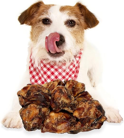 Amazon.com : Lively Tails Dog Bones for Aggressive Chewers, Knee Caps ...