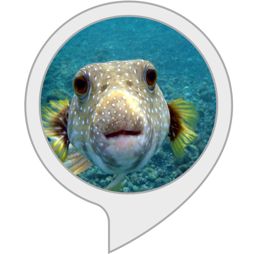 Amazon.co.uk: Fish Facts : Alexa Skills
