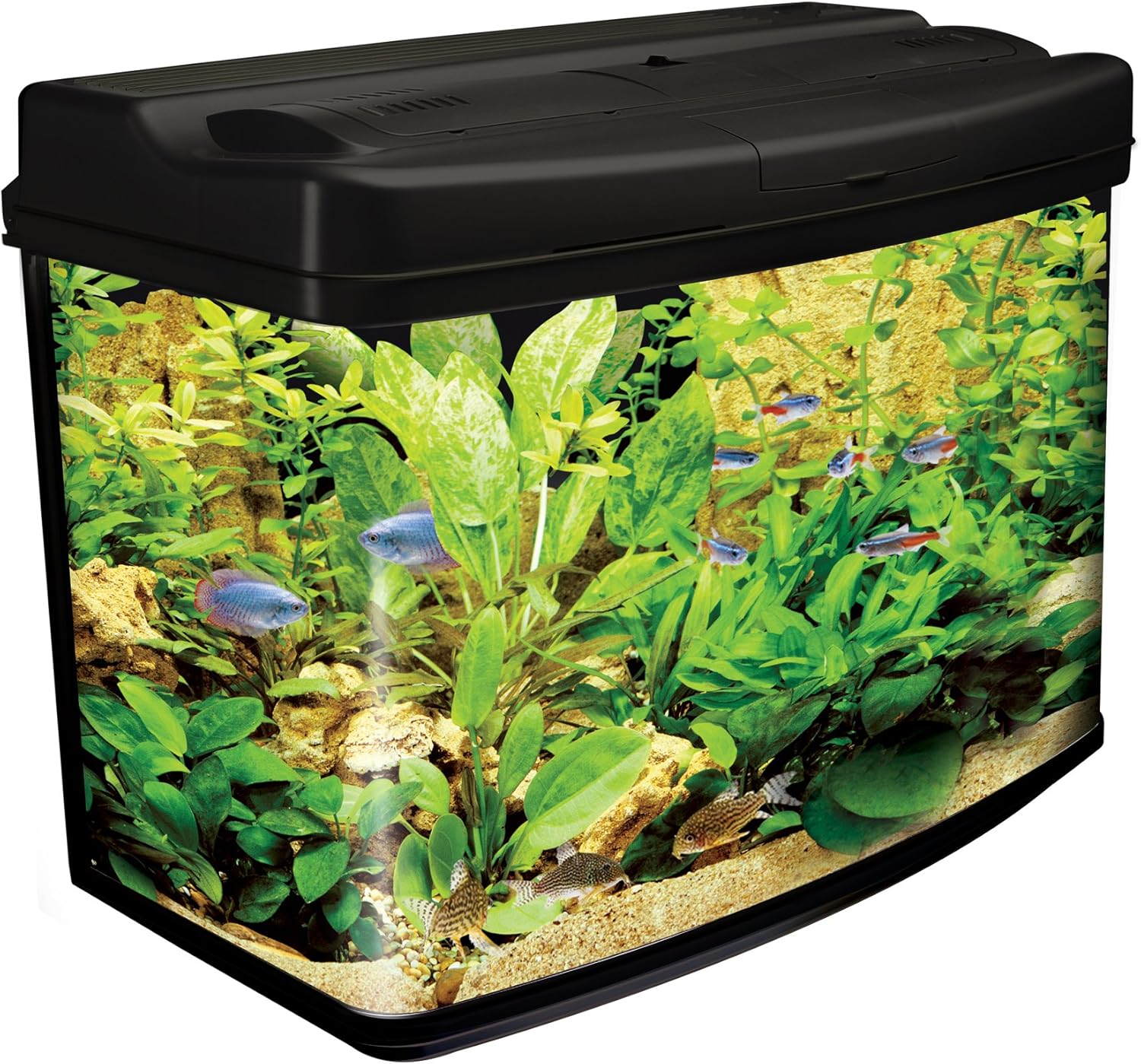 Interpet Fish Pod Glass Aquarium Fish Tank - 64 L : Amazon.co.uk: Pet ...
