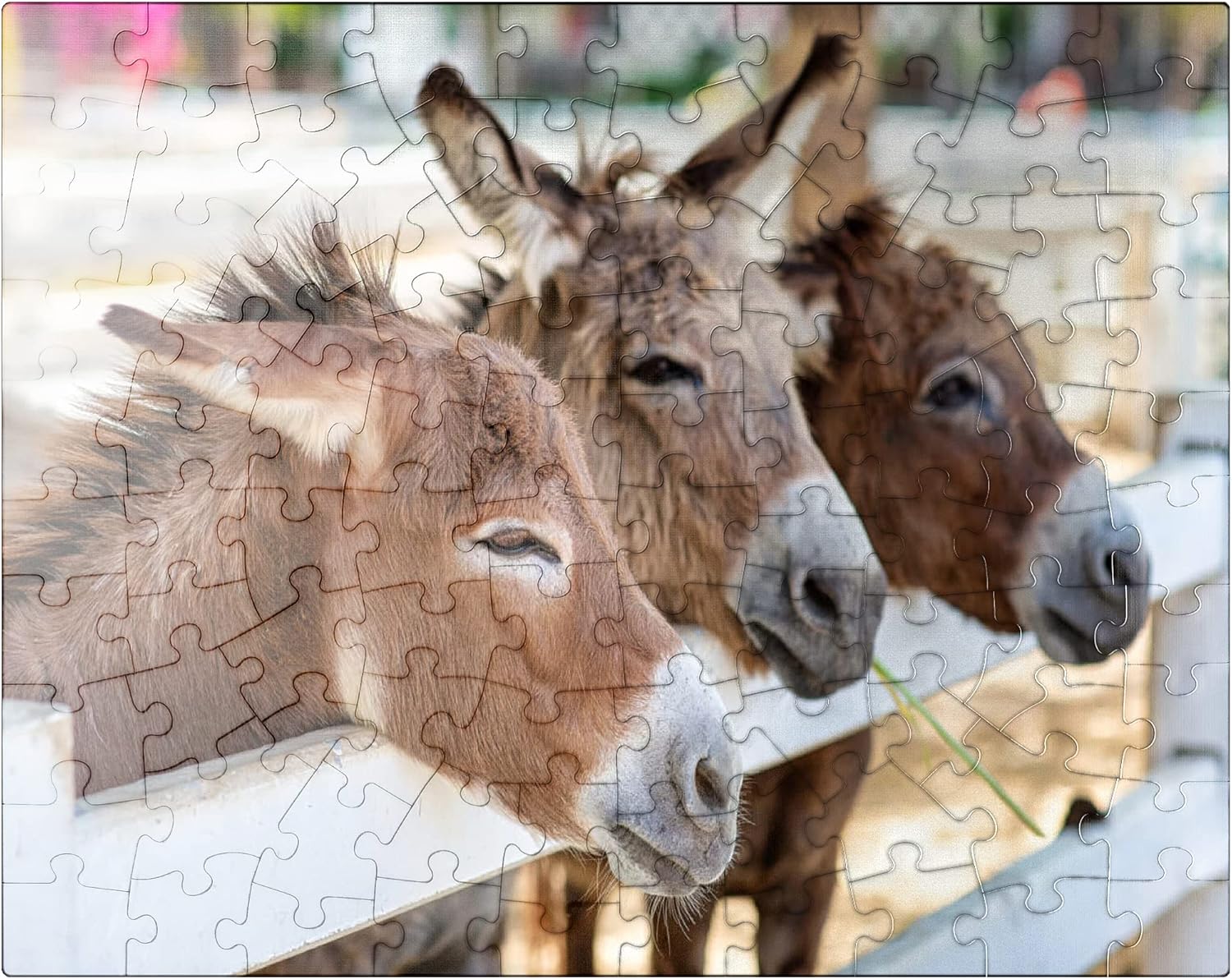 Amazon.com: Three Donkeys On The Farm - Premium 100 Piece Jigsaw Puzzle ...