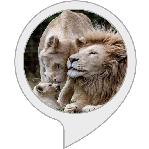 Amazon.in: Animal Facts : Alexa Skills